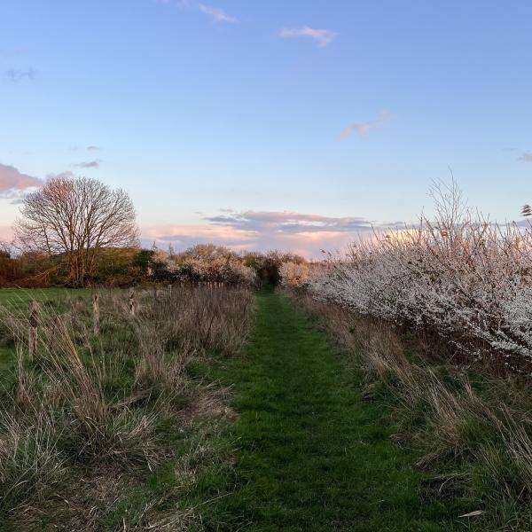 Wandelen Zuid-Beveland: de mooiste wandelroutes en natuurgebieden