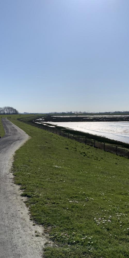 Fiets- en wandelexcursie Zwin & Retranchement | Het Zeeuwse Landschap