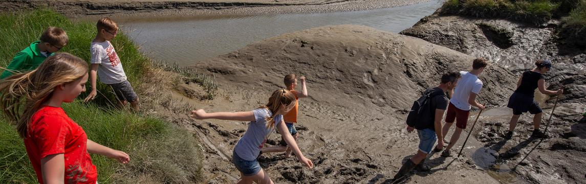 Struinen door geulen, slikken en schorren | Stichting Het Zeeuwse Landschap