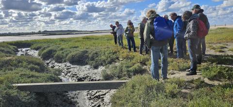 Fietsroute over Walcheren - Platte van Walcheren